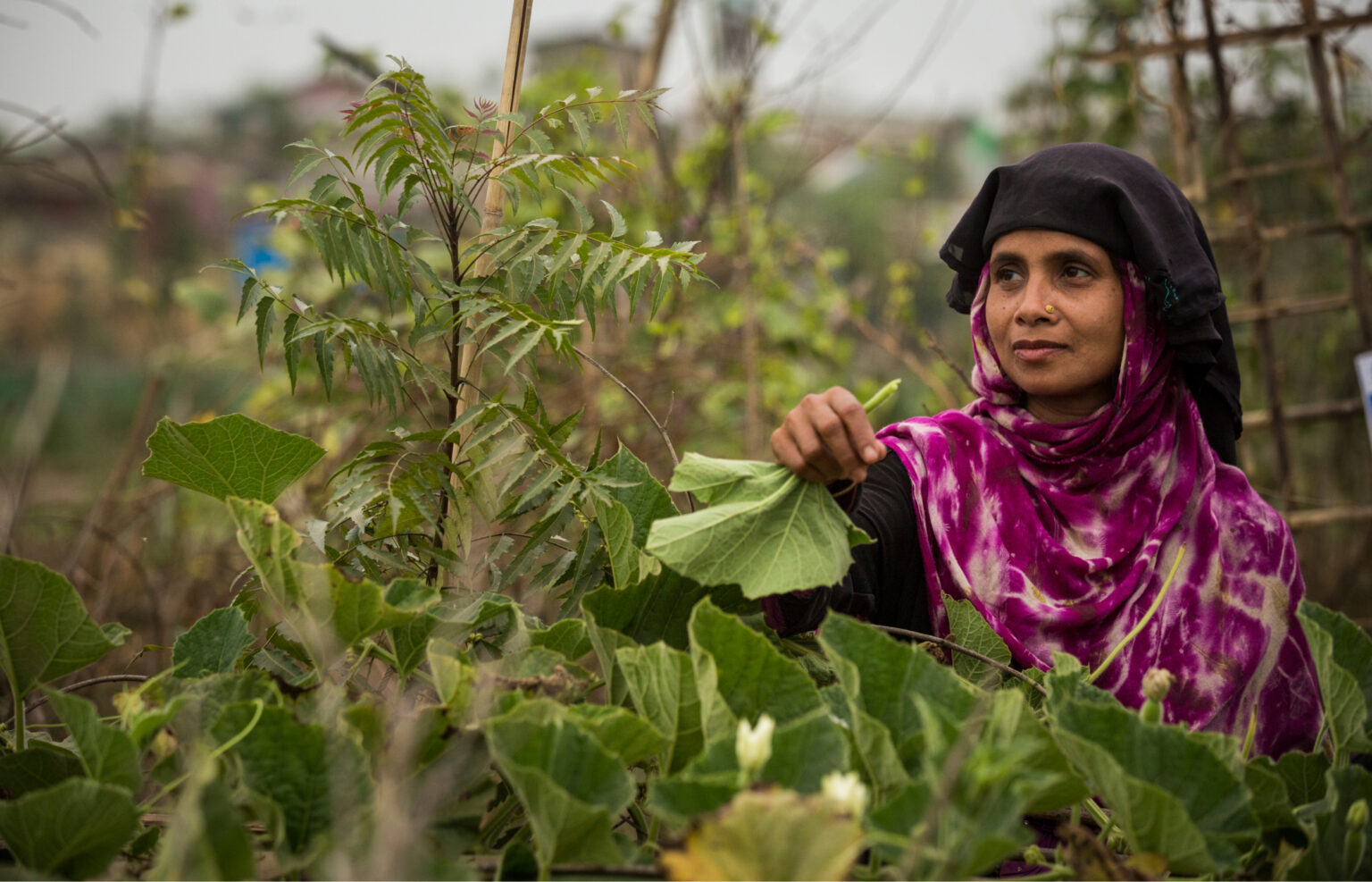UN Global Pulse | Meet UN Global Pulse, the Secretary-General’s ...